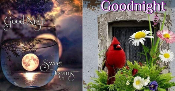 10 Gorgeous Good Night Quotes To Help Cherish The Night
