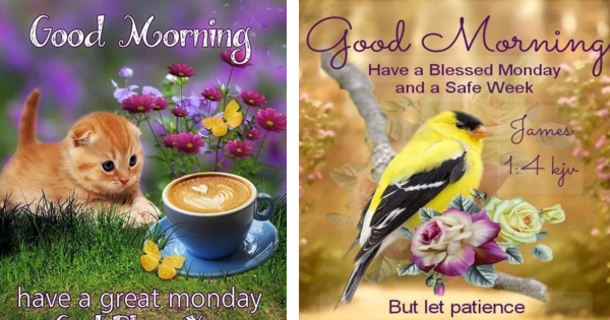 10+ Amazing Monday Quotes For A Perfect Monday Morning