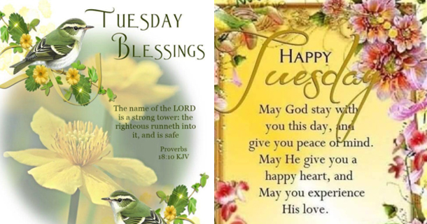 10 Beautiful Tuesday Images With Quotes For A Terrific Tuesday
