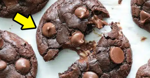 Super Yummy Double Chocolate Cookies (Recipe)