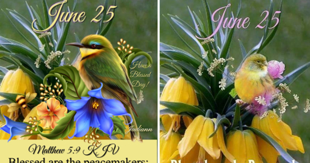 Beautiful June 25 Quotes And Sayings For The Day