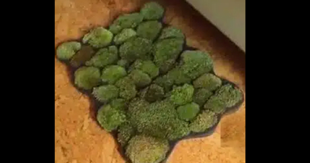 How To Make A Moss Bath Mat Tutorial