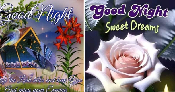 10 Good Night Wishes Quotes That Will Touch Your Heart