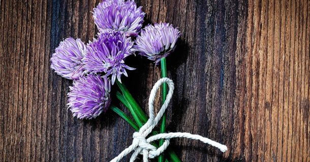 The Best Way To Grow Chives (5 Simple Steps!)