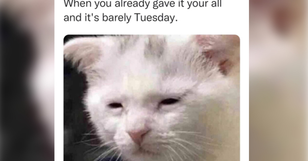 Daily Dose Of 10 Funny Memes To Get You Through The Week