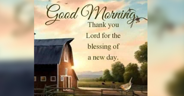 10 Good Morning Messages To Make Your Week Bright And Beautiful