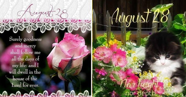 August 28 Beautiful Messages That Will Bless You With A Good Morning