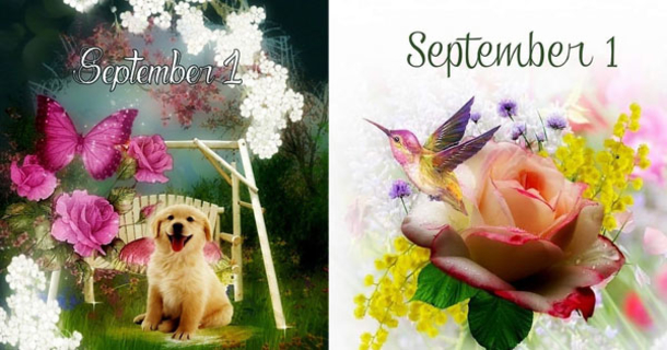 September 1 Quotes To Say "Hello September" In A Beautiful Way