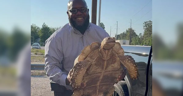 100-Year-Old Tortoise Makes It Home Safely After A Very Long, Adventure