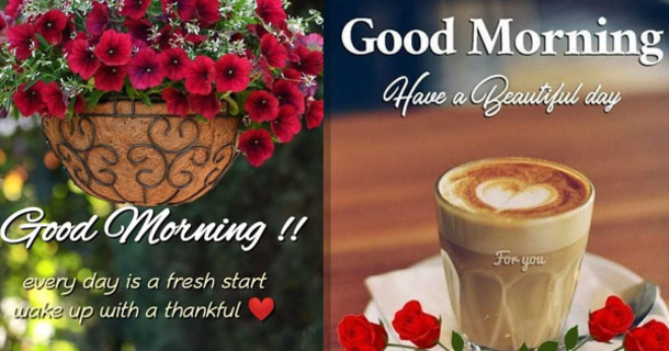 10 Good Morning Quotes And Images To Have A Fresh Start To Your Day