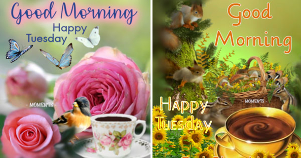 10 New Good Morning Tuesday Pics And Quotes