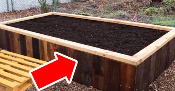 How To Build A Pallet Raised Bed For Your Garden
