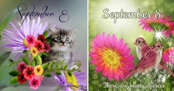 10 September 8 Pictures, Quotes And Sayings