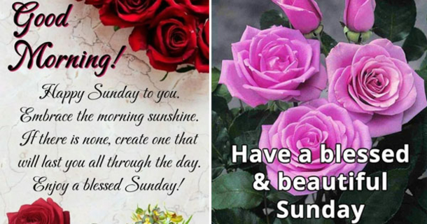 10 Blessed And Beautiful Sunday Quotes For Happiness Throughout The Day