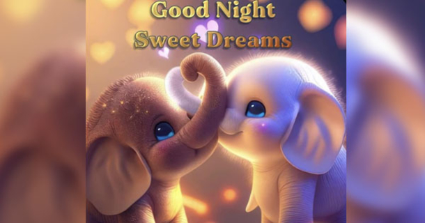 Happy Sleeping: 10 Good Night Images With Quotes For A Perfect Rest