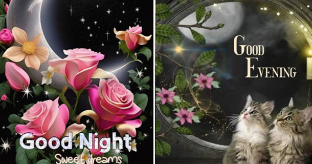 10 Good Night & Good Evening Quote Pictures For A Sweet Night's Sleep