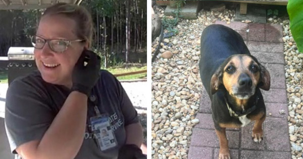 Mail-Lady Rushes Dog To Vet After Being Bit By A Snake, Alerts Family ...