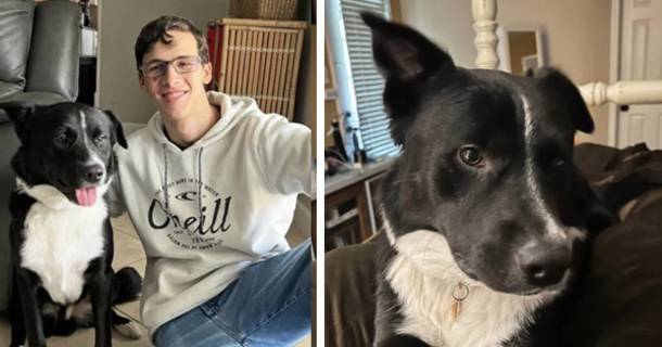 Dog alerts sleeping family up in the middle of the night — saves teen’s ...