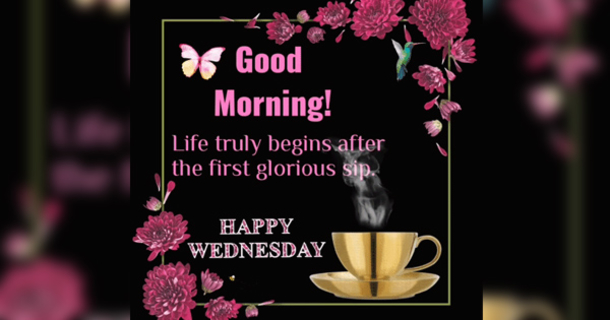 10 Amazing Wednesday GIFs For Instant Smiles