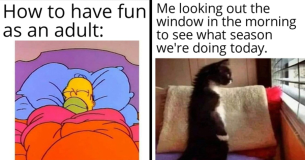 10 Daily Funny Memes Pictures To Enjoy For The New Week