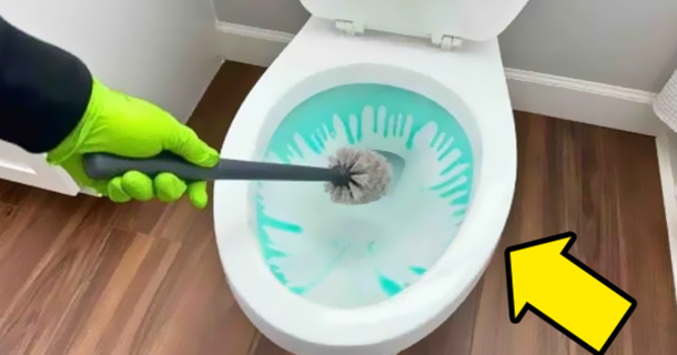 A Guide To 10 Essential Tips For Toilet Cleaning