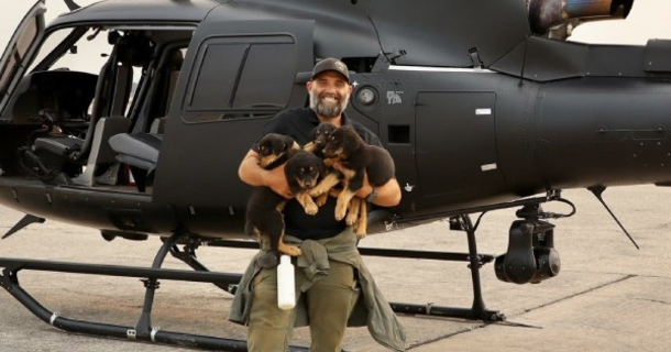 Helicopter Hero: Rescuer Braves Wildfire to Save Family of Dogs Left Behind