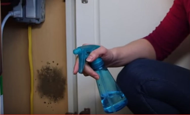 Did You Know This One Common Household Item Can Get Rid Of Any Mold In ...