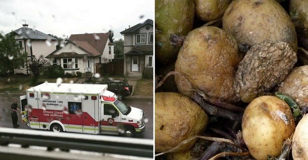 Entire Family Dies After Young Woman Makes A Simple Mistake In The Kitchen