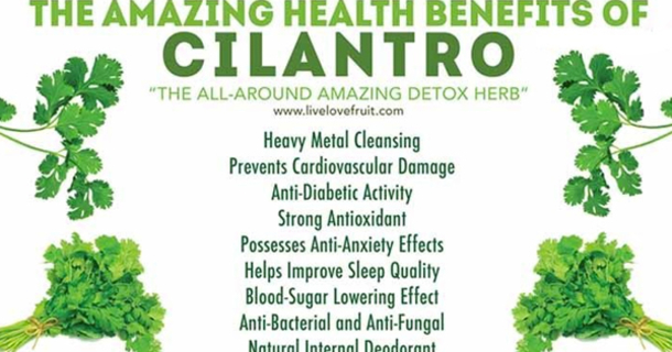 9 Incredible Health Benefits of Cilantro (No. 1 Is the Most Beneficial ...
