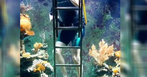 Man Has Fish Tank In His Home So Big, He Can Swim In It. Check Out Rare ...
