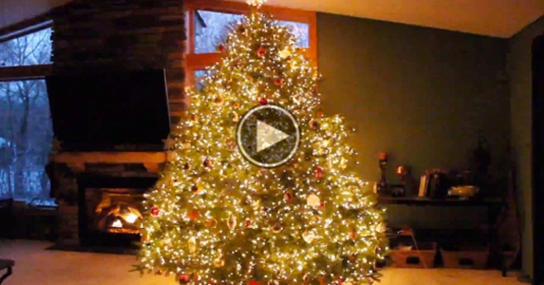 It Looks Like A Normal Christmas Tree. Now Watch What Happens When The ...