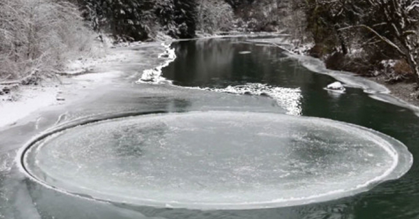 Finally, Footage Has Been Captured Of One Of Nature’s Most Rare ...