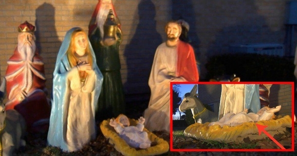 Group Gets Odd Tip To Check Nativity Scene, Finds Hidden Miracle Under ...