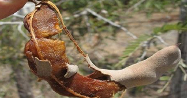 IF YOU SUFFER FROM DIABETES, HAIR LOSS, HEART AND JOINT INFLAMMATION ...