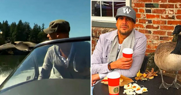 Man saves goose and releases her in the wild. Then she flies back and ...