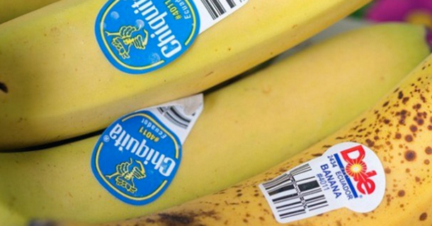 If you spot this label on fruit, do not buy it, no matter what! This is ...