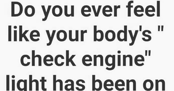 10 Humor Quotes And Sayings Of The Day