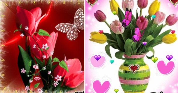 10 Beautiful Animated Tulip Images