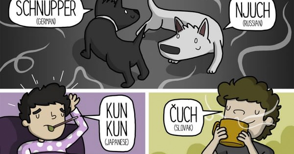 The Sound Of Eating In Five Language Pictures, Photos, and Images for ...