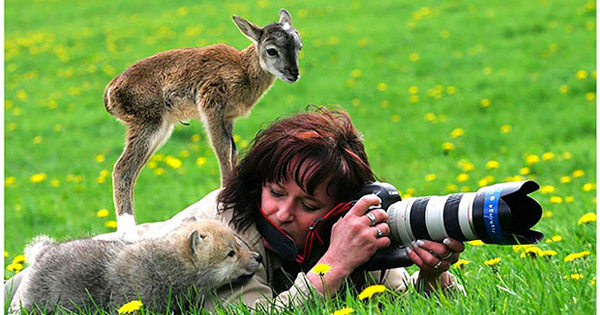 24 Animals Who Might Have Been Camera Operators In Past Lives Pictures ...