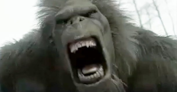 10 Extinct Animals That May Still Be Alive