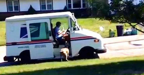 What This Dog Is Recorded Doing With The Mail Lady Is So Awesome