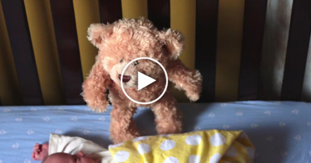 Teddy Bear Meets Best Friend: This Is The Cutest Thing Ever!